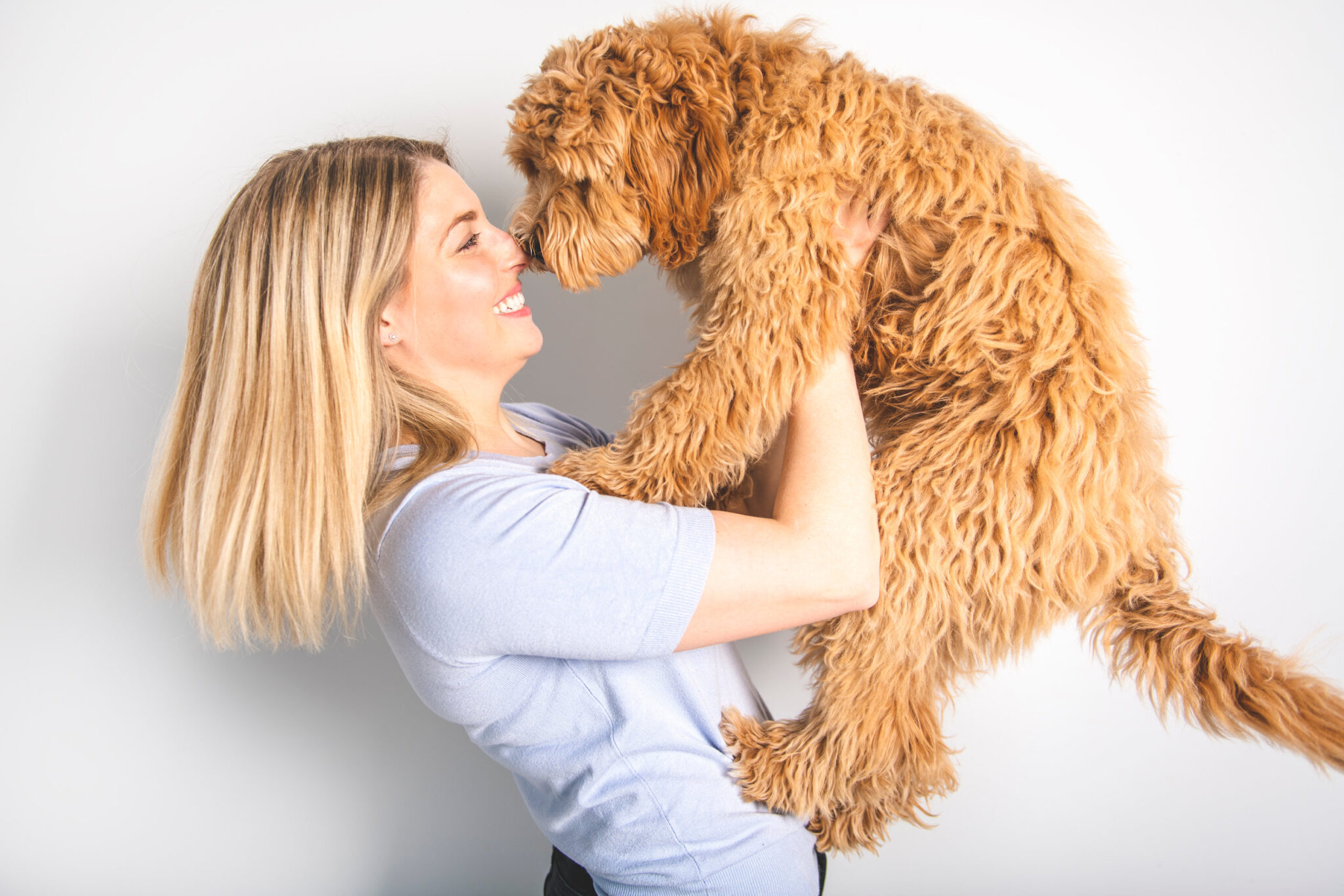 Is Your Goldendoodle Hyper? Here’s What to Do