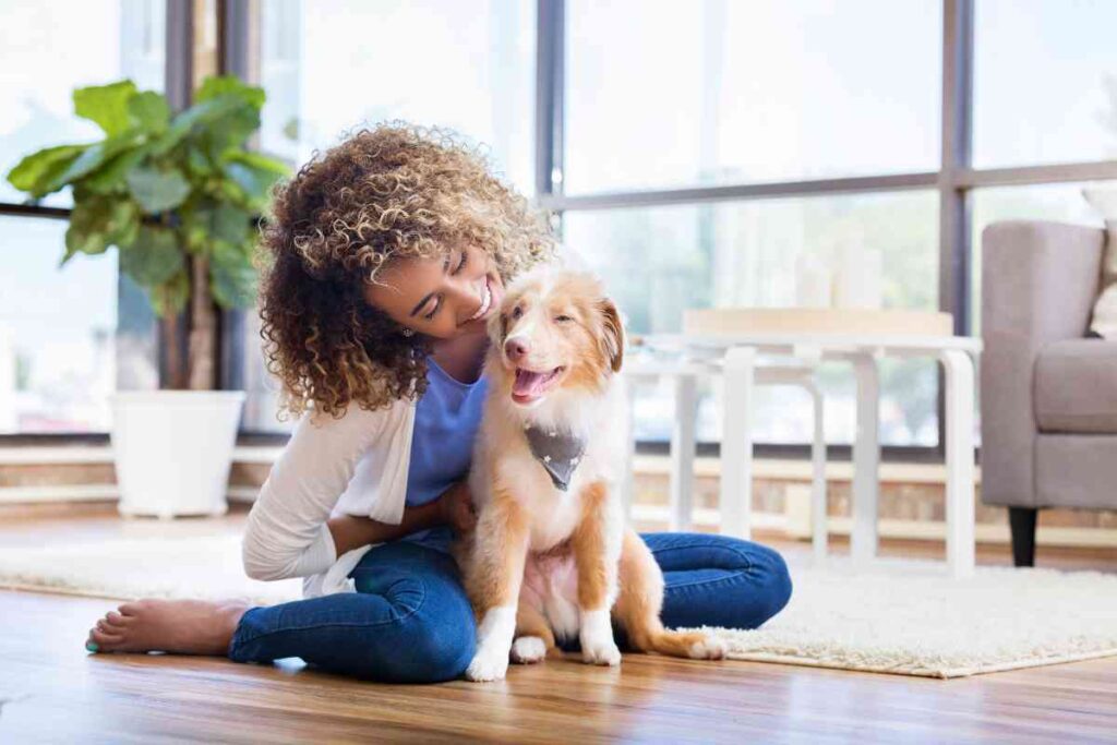 What To Bring With You When Picking A Puppy From A Litter ...